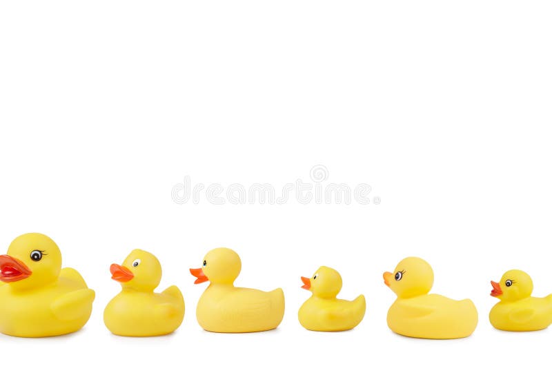 Rubber Duck Line stock photo. Image of individuality - 11048752