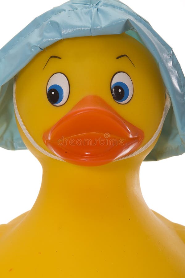 Rubber Duck Looking Straight-on Stock Image - Image of duckling, float ...