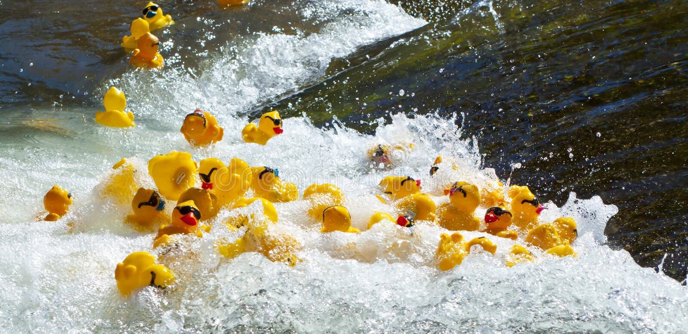 5,269 Rubber Ducky Stock Photos - Free & Royalty-Free Stock Photos from ...