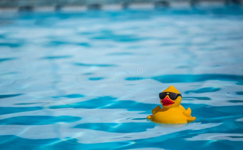 Rubber duckie editorial stock photo. Image of pool, white - 43398978