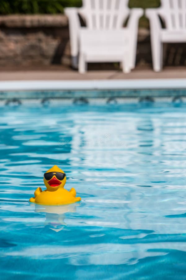 502 Swimming Duckie Stock Photos - Free & Royalty-Free Stock Photos ...