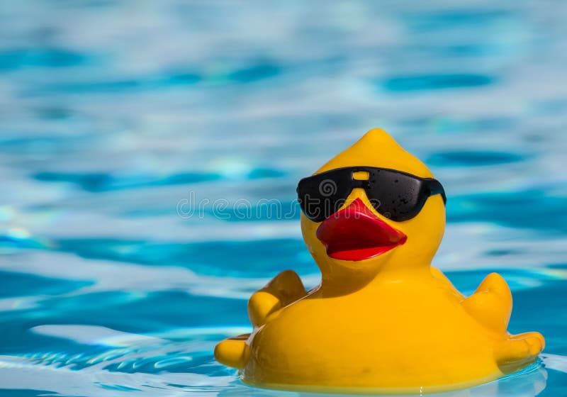 Rubber duckie editorial stock photo. Image of yellow - 43398993
