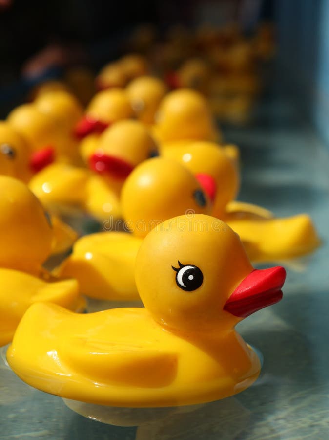 Rubber Duckies Floating in a Carnival Game Stock Image - Image of ...