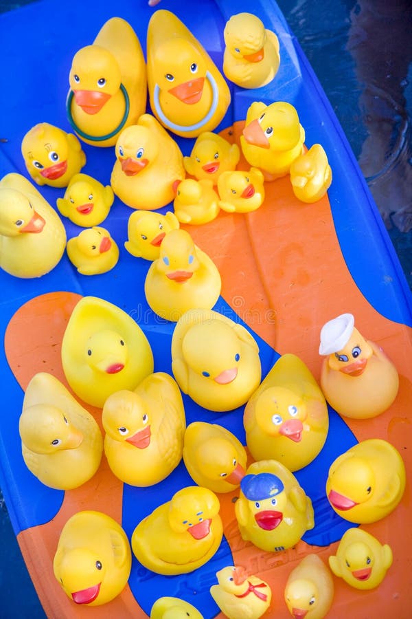 Rubber Duckies In A Bird Bath Stock Image - Image of duck, toys: 4975657