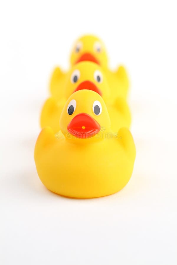 Rubber ducklings stock photo. Image of background, duckling - 18734308