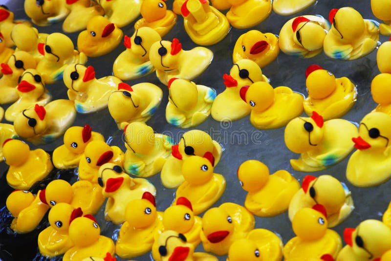 Shooting Ducks in a Barrel stock photo. Image of unchallenging - 3386954