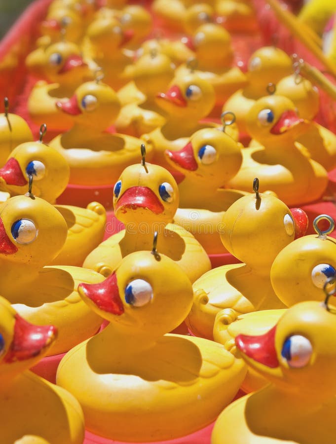 Rubber ducks stock image. Image of plastic, floating, water - 5668793