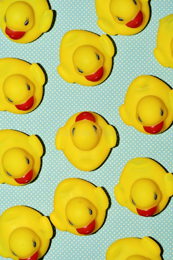 Diverse ducks stock image. Image of ducks, cooperating - 2959239