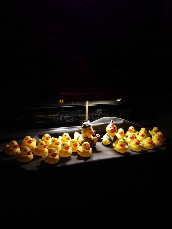 Rubber ducks - Duck army stock image. Image of design - 259537299