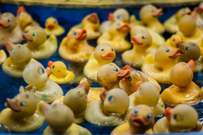 Rubber ducks stock photo. Image of entertainment, ducks - 33413396
