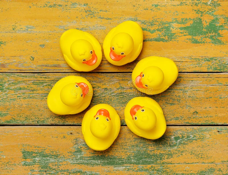 Rubber ducks stock photo. Image of duck, objects, ducks - 55842594