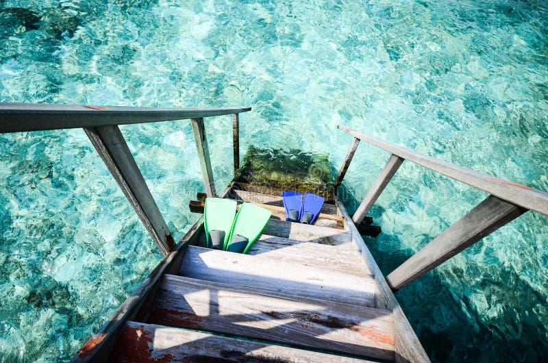 Rubber flippers at the sea stock image. Image of island - 49058773
