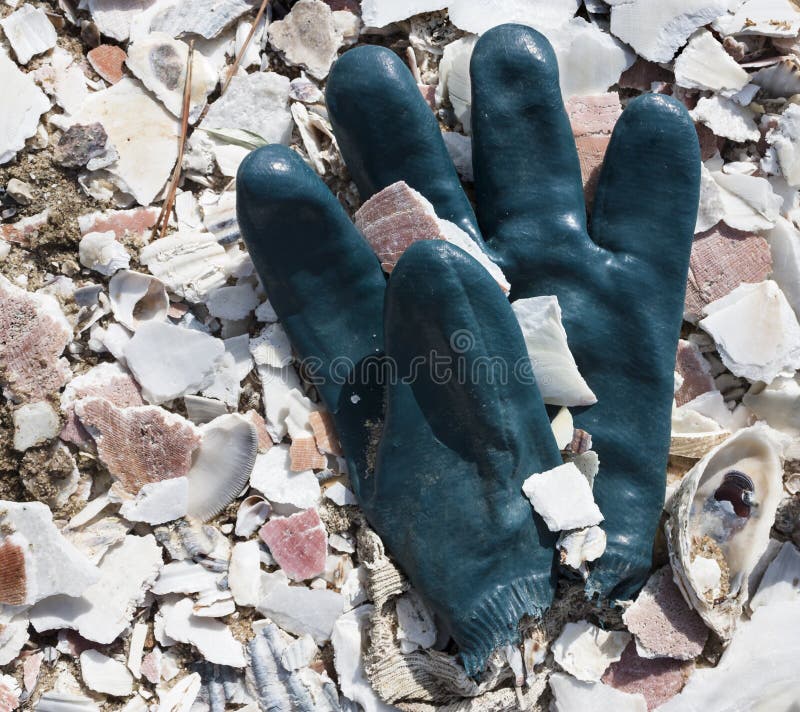 Rubber Glove in Pile of Shells Stock Image - Image of texture, seashell ...