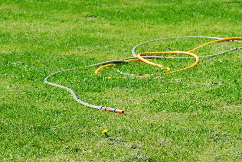 Rubber Hose and Green Grass Stock Image - Image of horticulture ...