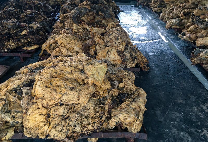 Rubber Left Over from the Latex Production Process To Be Used To Make ...