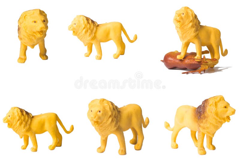 Rubber lion stock photo. Image of danger, mammal, isolated - 77839628