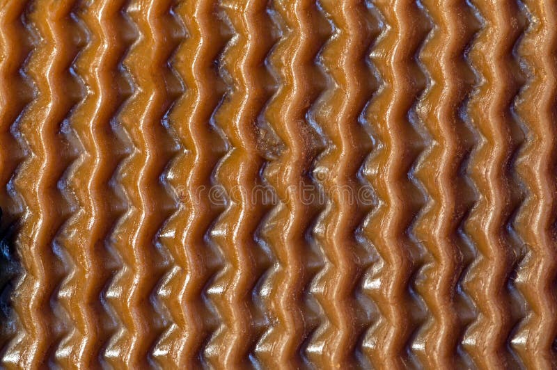 476 Rubber Forms Stock Photos - Free & Royalty-Free Stock Photos from ...