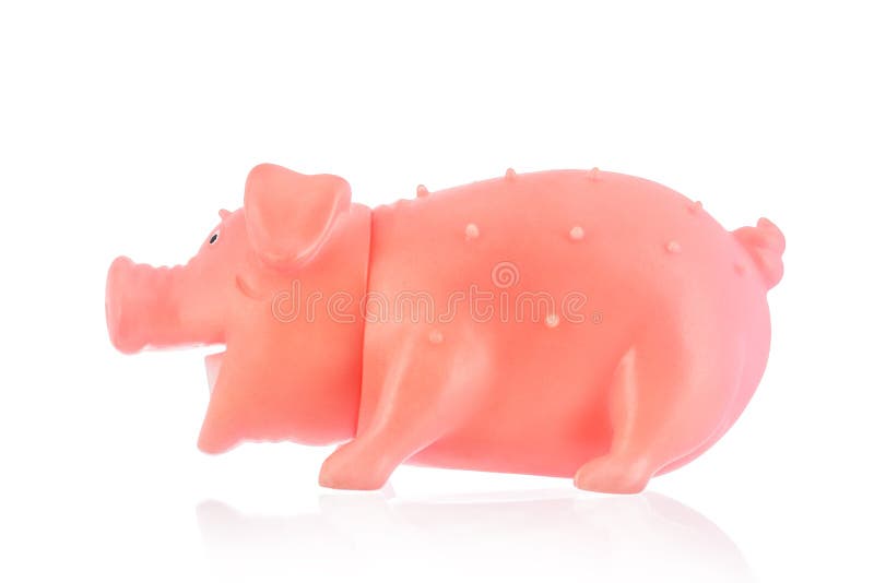 Rubber pig toy for dogs stock image. Image of banking - 66243475