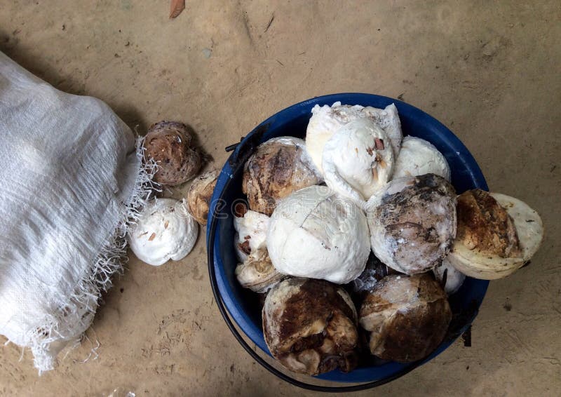 Rubber scrap stock image. Image of scrap, nascent, collection - 58732905