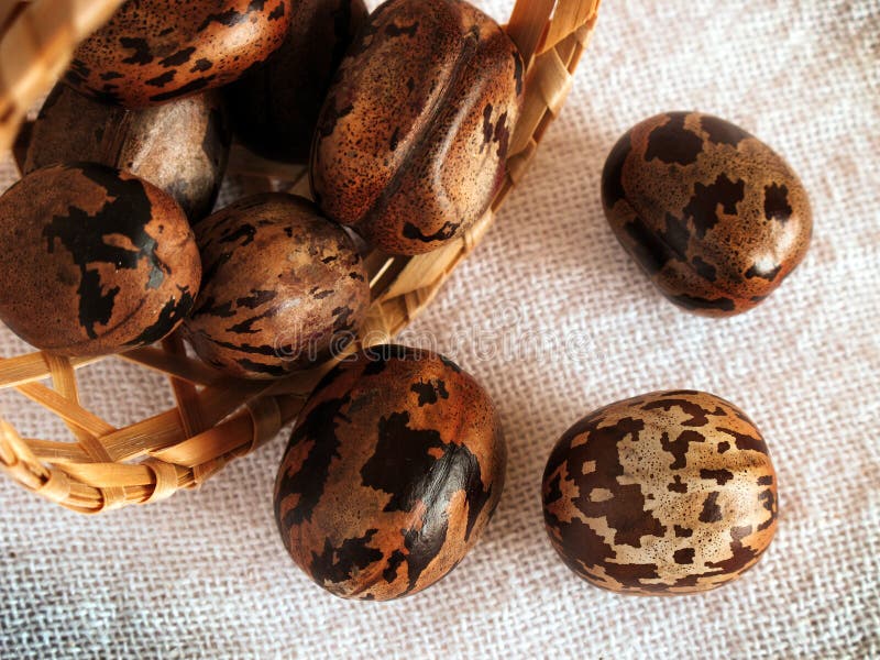 Rubber Seeds stock image. Image of isolated, amazonia - 16860651