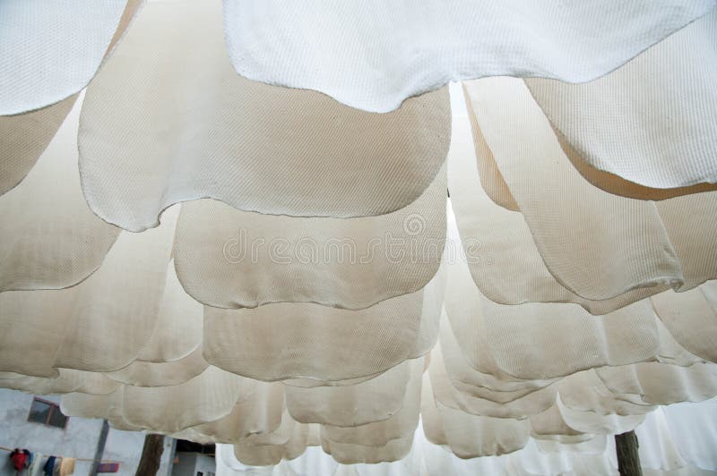 Rubber Sheet in Solar Drying Chamber Stock Photo - Image of product ...