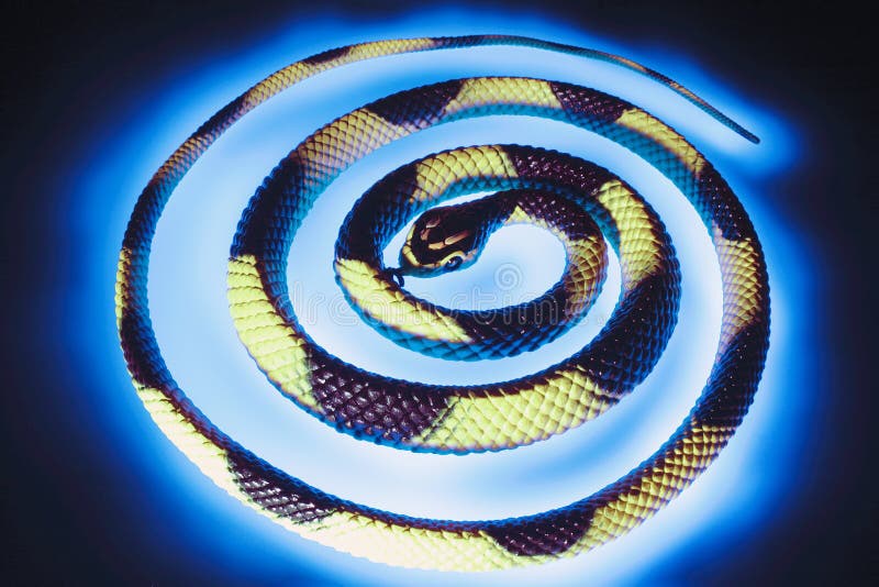Rubber Snake stock photo. Image of danger, artificial - 22470078
