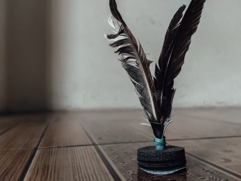 Rubber Tied with Feathers on the Floor Stock Image - Image of feathers ...