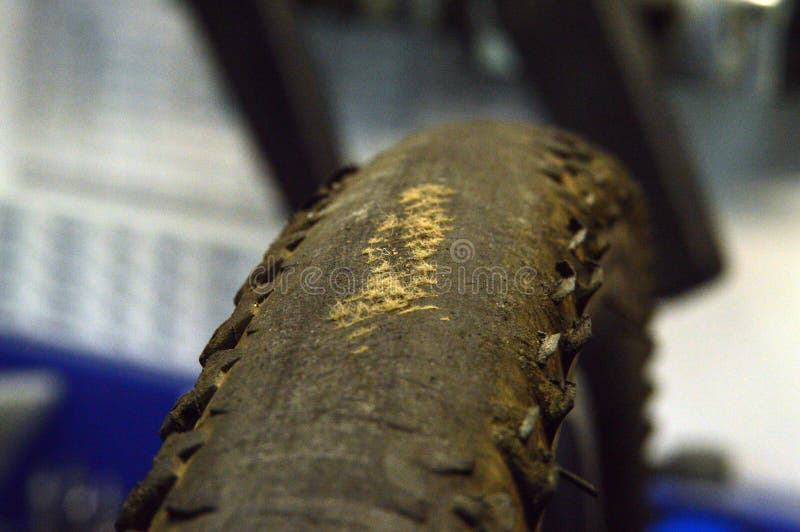 Rubber Tire for Bicycle with Damage Stock Image - Image of black ...
