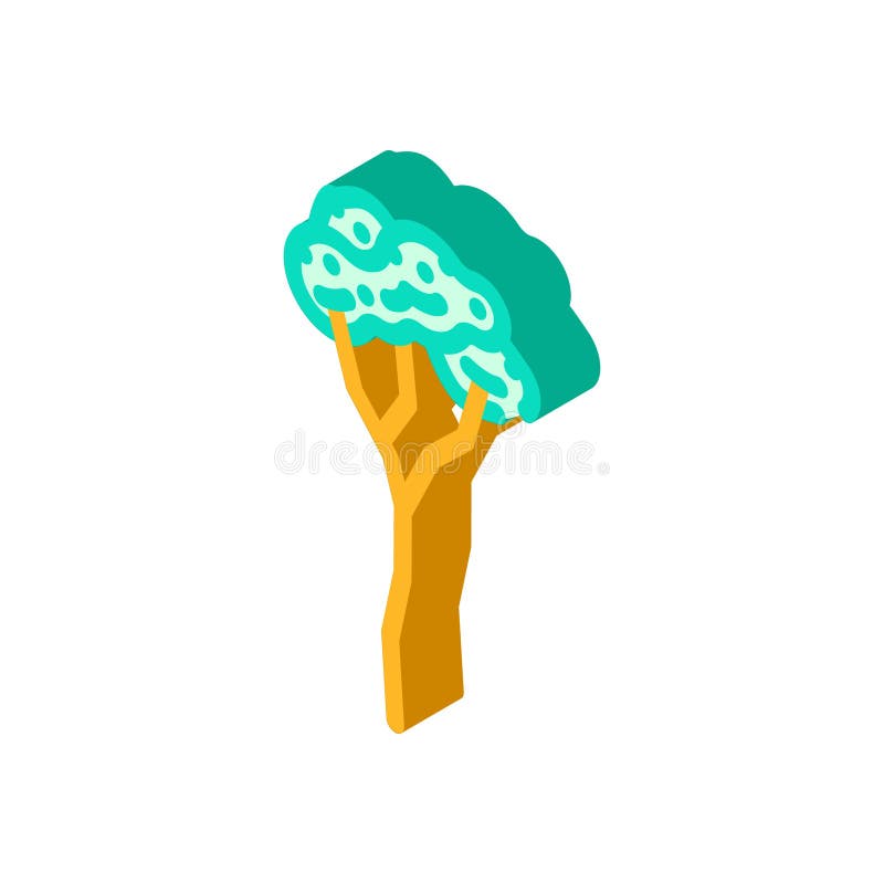 Rubber Tree Jungle Amazon Isometric Icon Vector Illustration Stock ...