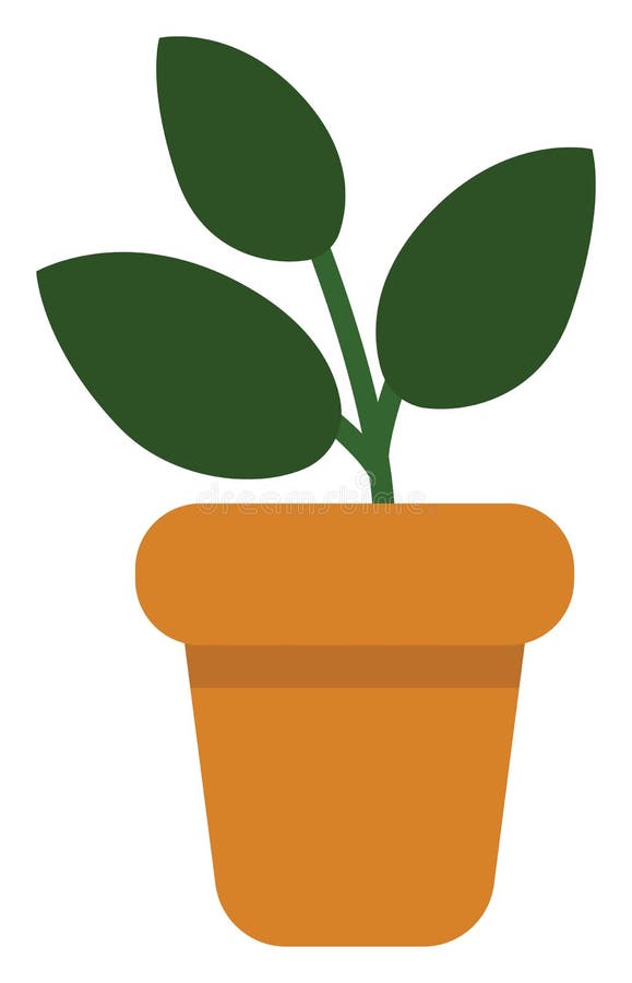 Rubber Tree in a Pot, Icon Icon Stock Vector - Illustration of nature ...