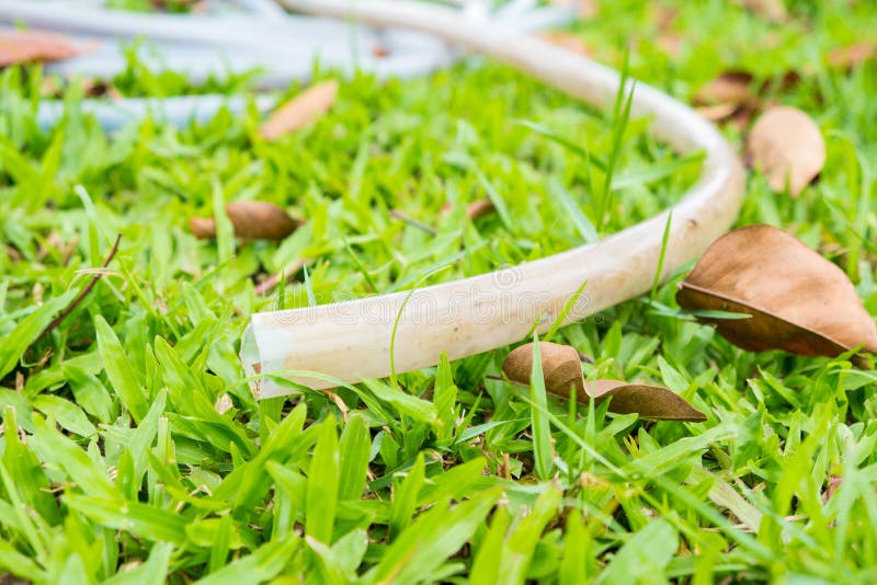 Rubber tube on green grass stock image. Image of lawn - 48508727