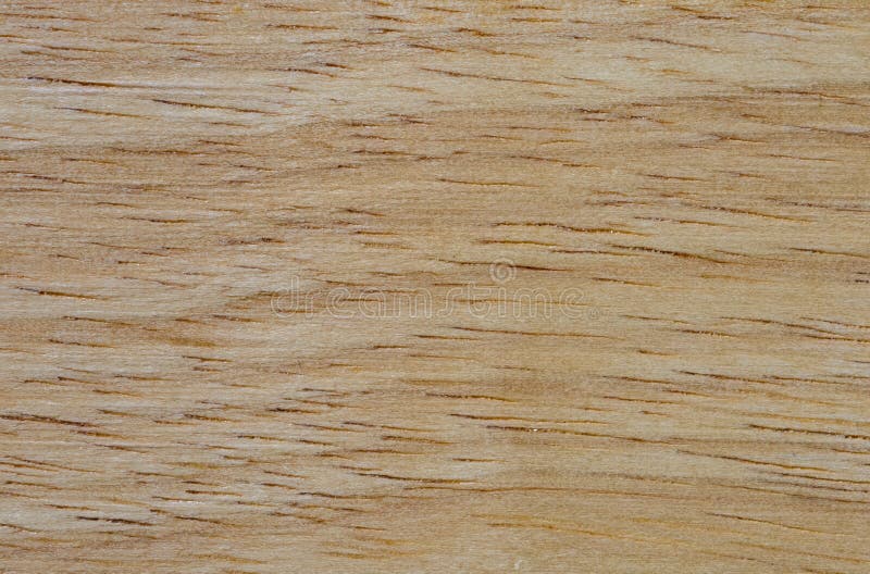 Rubber Wood Finger Joint Board Texture Background. Stock Image - Image ...