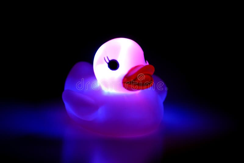 Rubberduck Picture. Image: 1000275