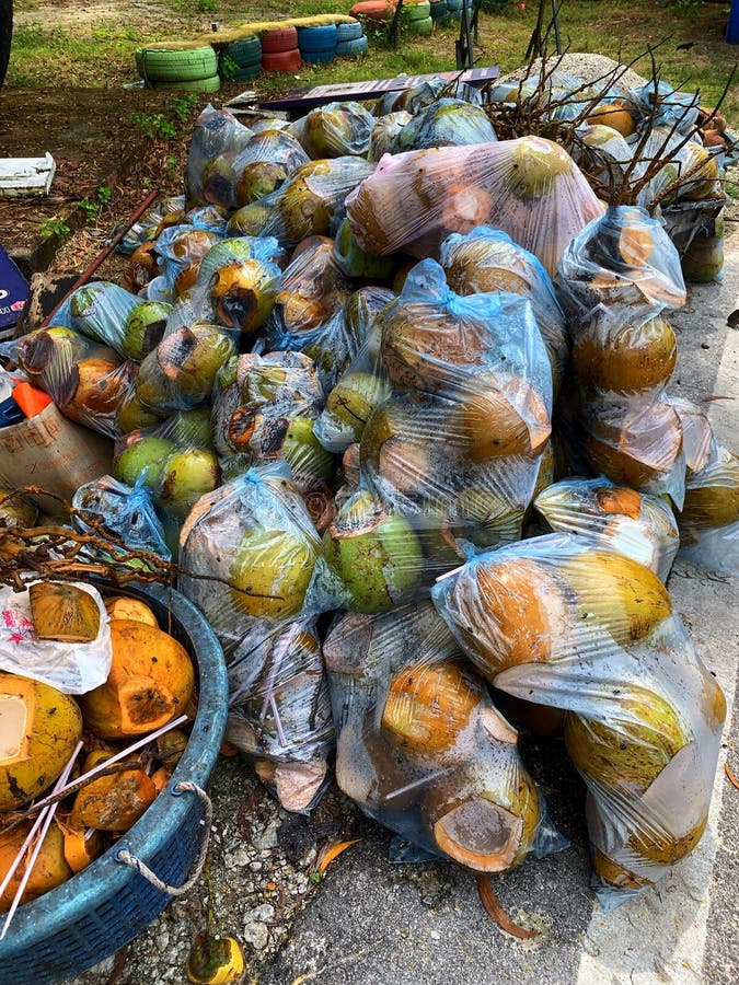 Coconut Shells stock image. Image of coconut, filled - 302844833
