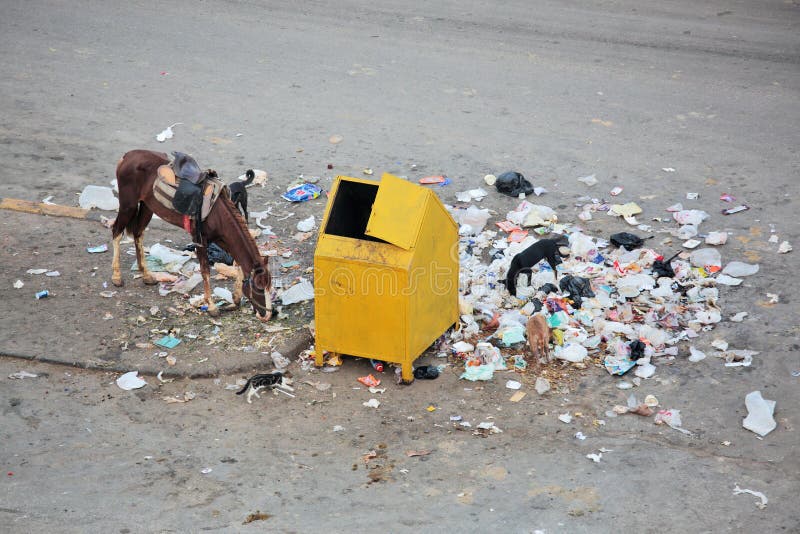Rubbish-bin and Garbage Around Stock Image - Image of asian, poor: 88972031