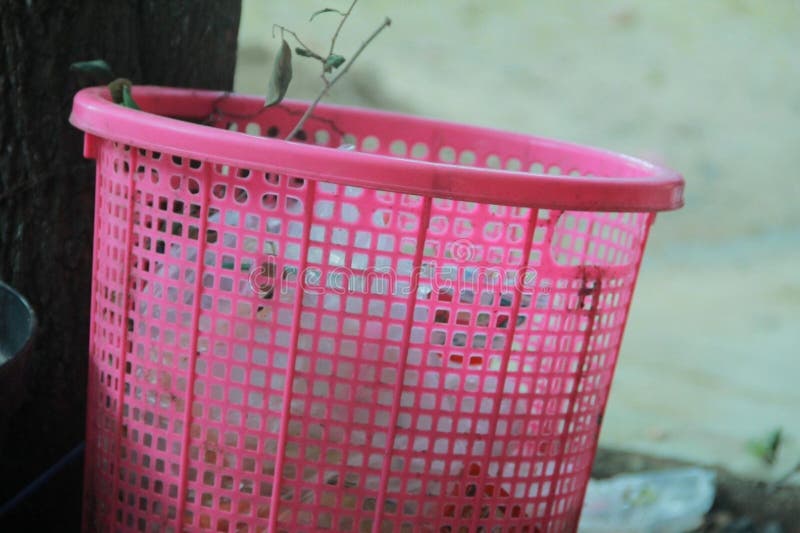 A rubbish bin in a house stock photo. Image of magenta - 264948438