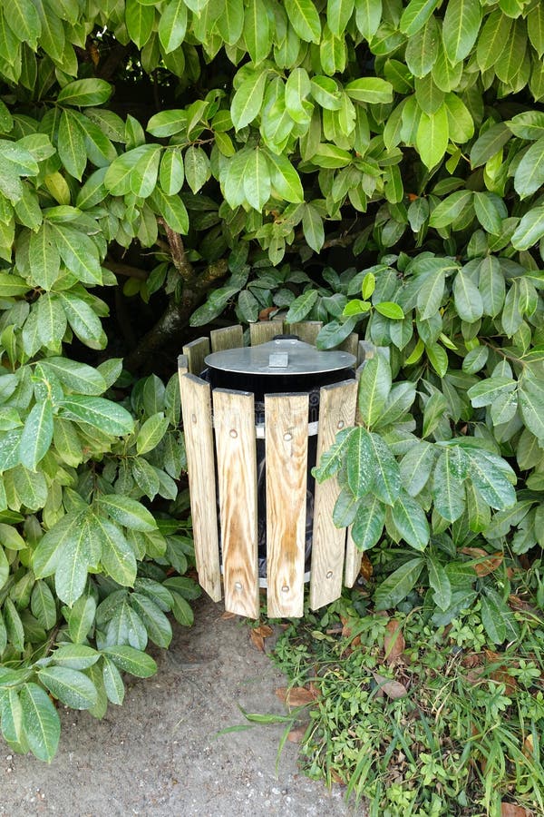 Rubbish Bin in a Park in Front of a Hedge Stock Image - Image of ...
