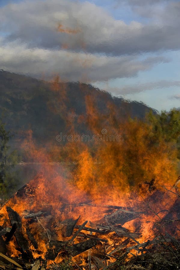 Rubbish Fire Pit Burning Flames Stock Photos - Free & Royalty-Free ...