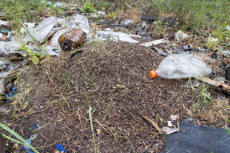 Rubbish in the forest stock photo. Image of junk, conservation - 56557718