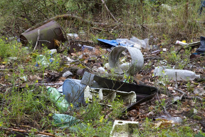 Rubbish in the forest stock photo. Image of junk, conservation - 56557718