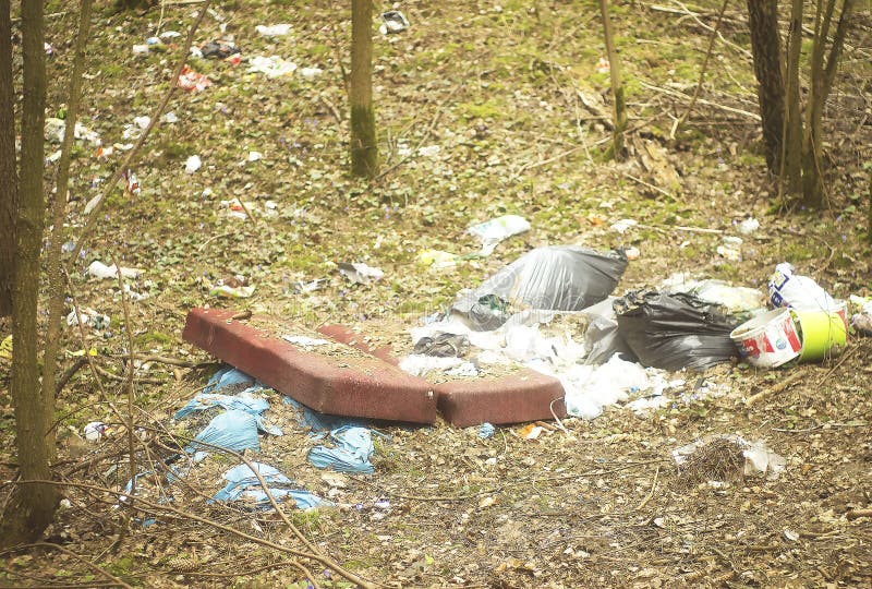 Rubbish in a forest stock photo. Image of discarded, garbage - 69678246