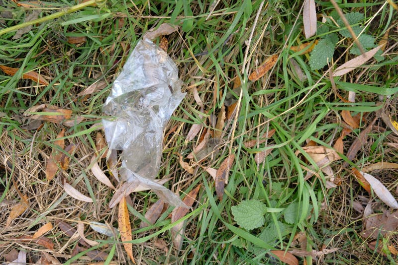 Rubbish in the grass stock photo. Image of pollution - 234071840