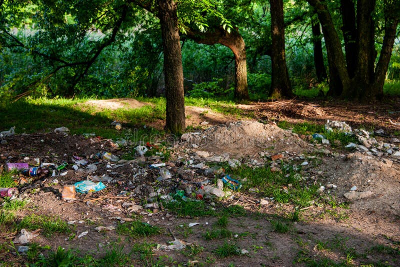 Rubbish. Plastic Rubbish in Natural Forest. Waste Materials and Other ...