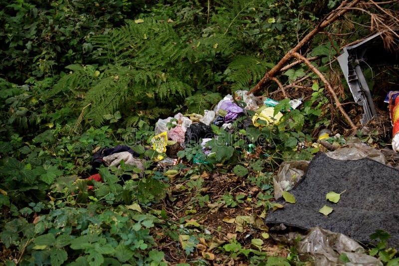 Rubbish. Pollution of Nature. Dump in the Forest. Stock Photo - Image ...