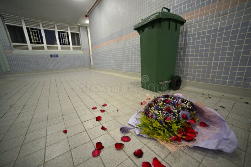 Rubbish stock image. Image of waste, trash, rose, unused - 41864645