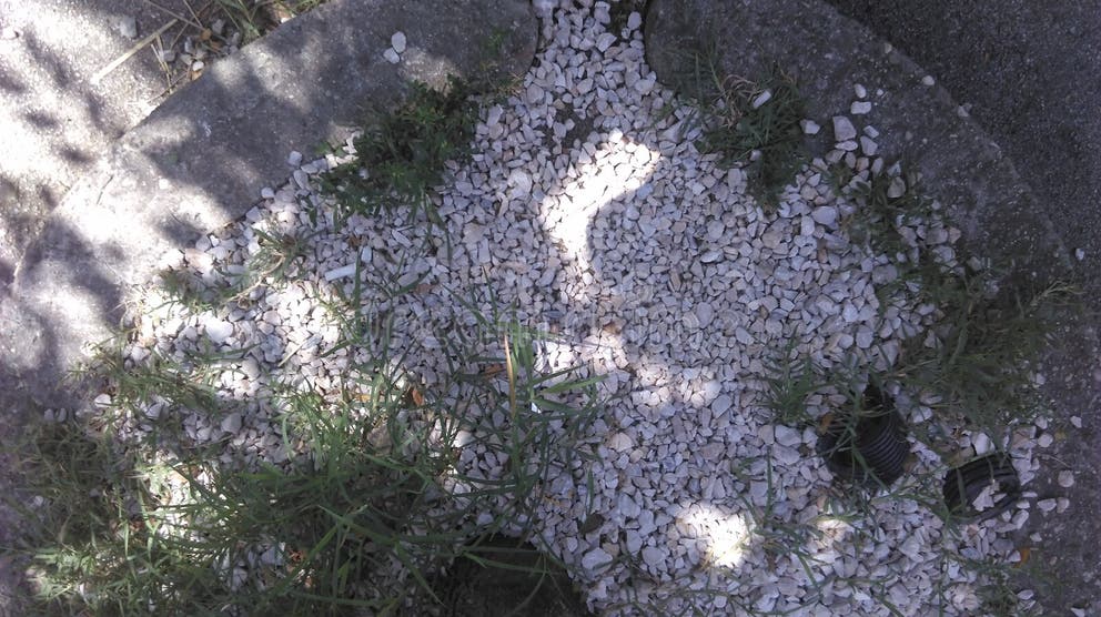 Rubble on the ground stock image. Image of tree, woodland - 326314245