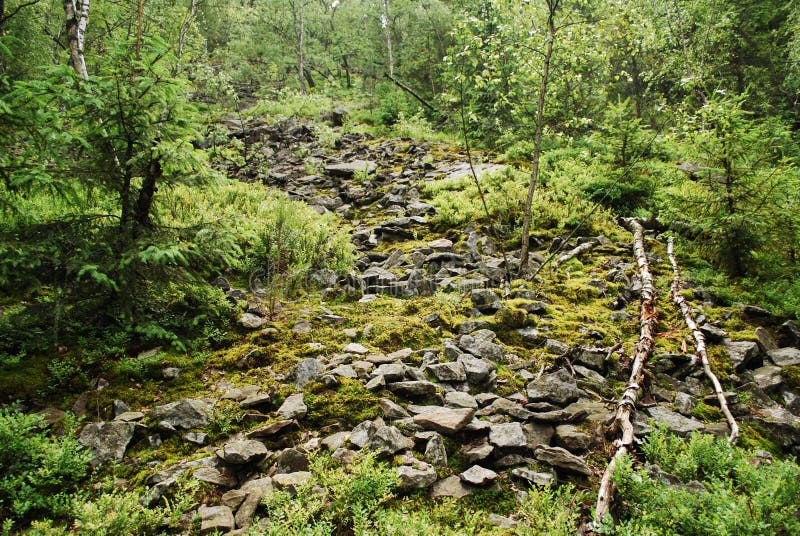 Rubble in Mossy Forest in Mountain. Stock Photo - Image of weather ...