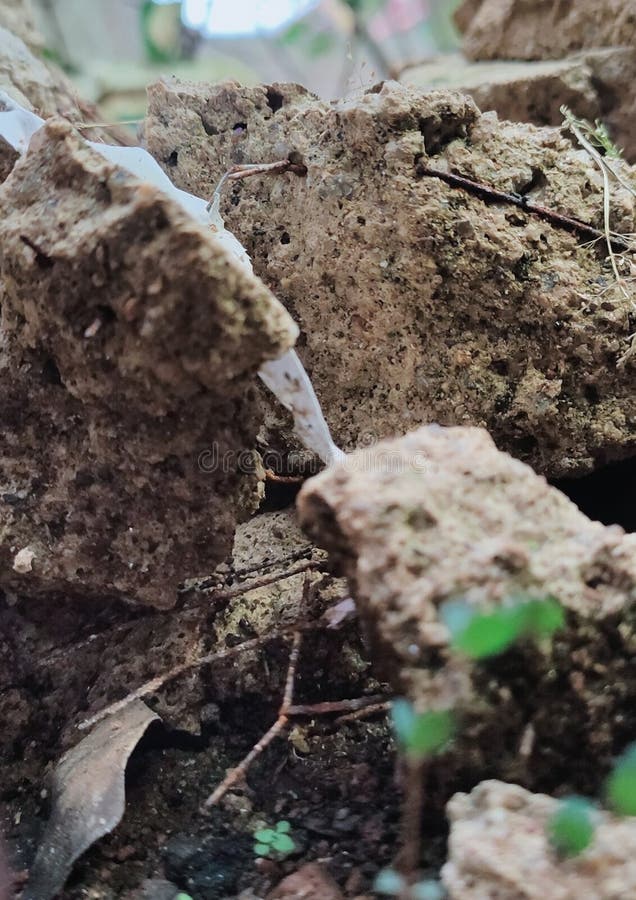 Rubble Rocks that Look so Beautiful with an Elegant Impression Stock ...