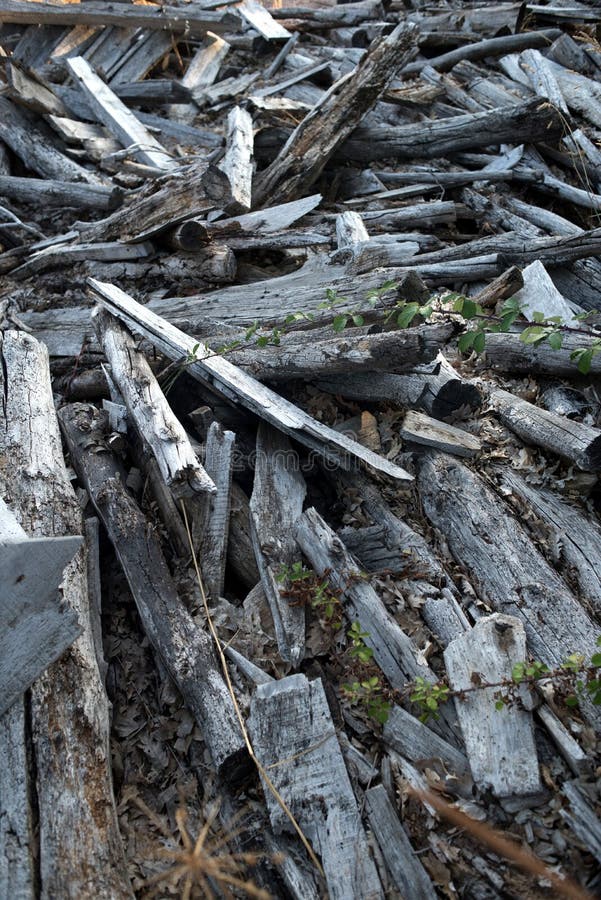 Debris, Wood Debris. Recycling of Wood Stock Image - Image of abandoned ...