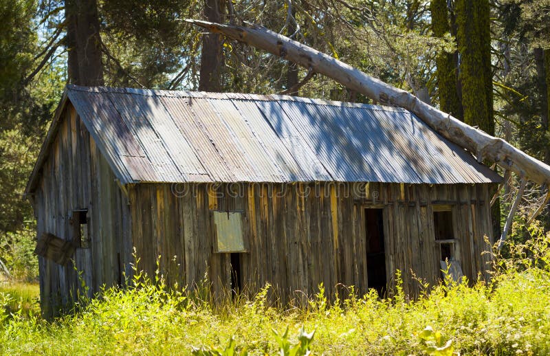 Old Australian Wooden Bush Shack House with Corrugated Iron Roof ...
